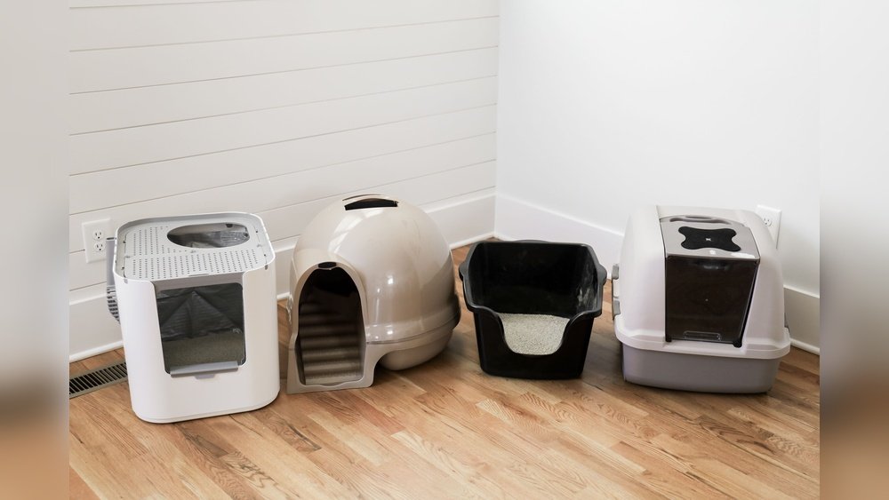 How Many Litter Boxes For 2 Cats: Ultimate Guide For Happy Pets